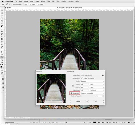 Solved Image Resize Not Working Adobe Community 13929940