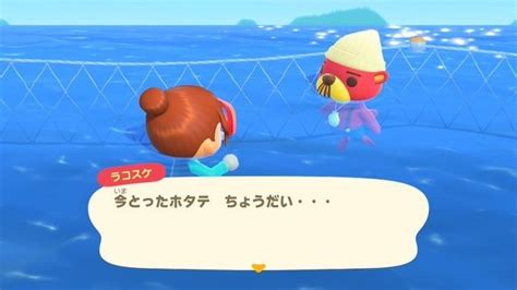 【あつ森】これはたぬきちの罠なのか？ww【どうぶつの森 まとめ】 あつ森攻略まとめ情報局