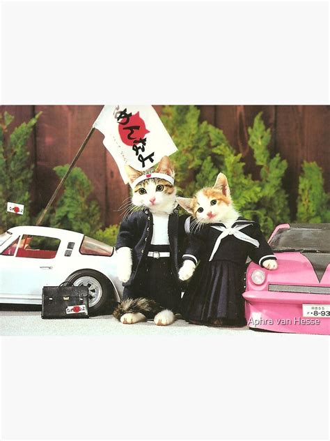Kawaii Cat Couple Sticker For Sale By Aphrahesse Redbubble