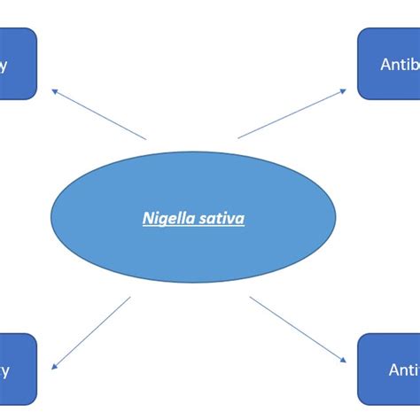 Chemical Composition Of Nigella Sativa Seed Download Scientific Diagram