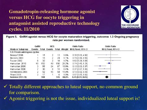 Ppt Ohss Prevention Yes We Can Powerpoint Presentation Free Download Id6689417