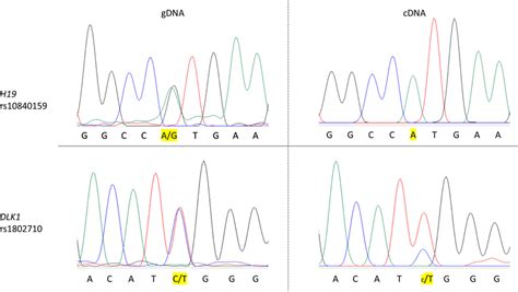Electrophoregrams Of Genomic Dna Gdna And Complementary Dna Cdna