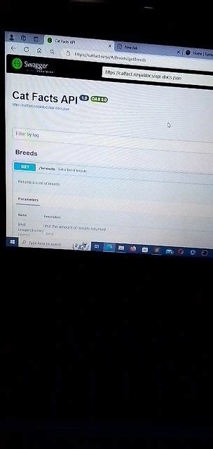 Marvex Scoarts On Linkedin Webdev Marvexscoarts Api Codingprojects Developer