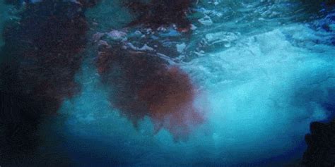 The Tree Of Life Gifmovie Gif WiffleGif The Tree Of Life Gifmovie Gif WiffleGif