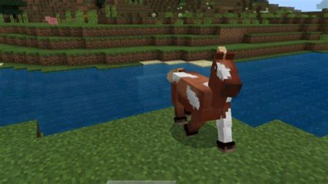 Download Horse Texture Pack For Minecraft Pe New Look