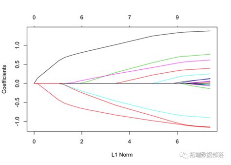 R Lasso Ridge Elastic Net