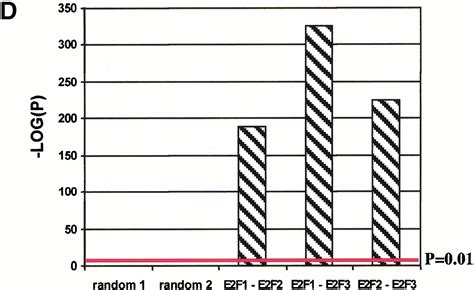 E2fs Regulate The Expression Of Genes Involved In Differentiation