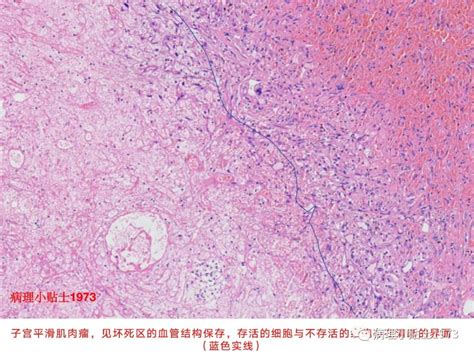 Medsci Cn