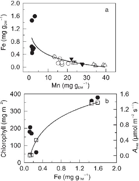 A Correlation Between Foliar Mn And Fe Concentrations In The