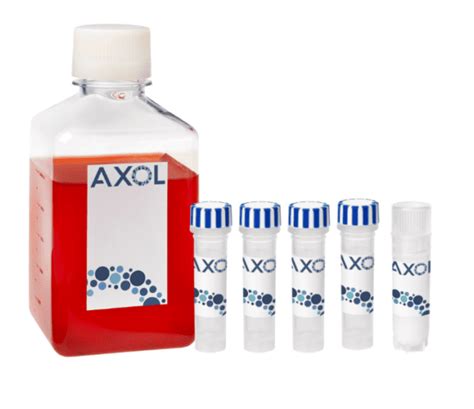 Human Ipsc Derived Motor Neuron Progenitor Kit Male