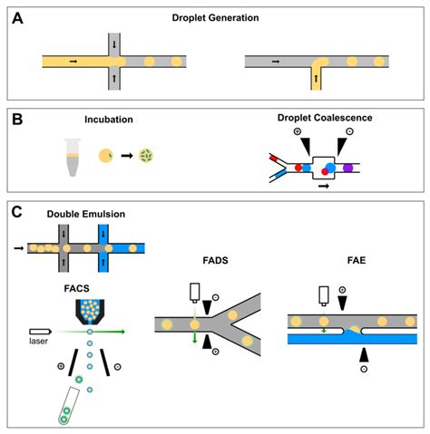 micromachines free full text droplet microfluidics enabled high