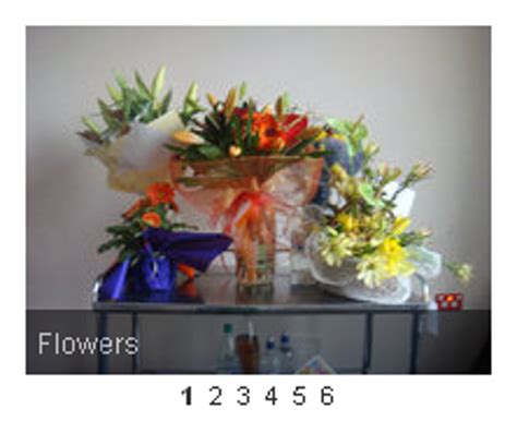 Jj Nextgen Jquery Slider สำหรับ Wordpress ดาวน์โหลด