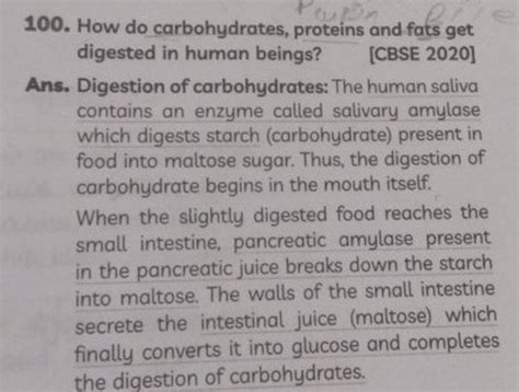100 How Do Carbohydrates Proteins And Fats Get Digested In Human Beings