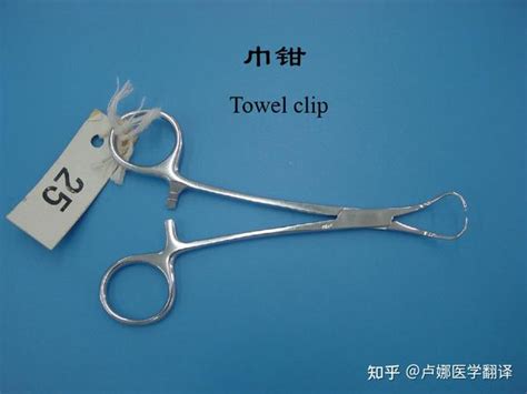 医学术语 三分钟带你认识外科常用手术器械（多图 中英对照） 知乎