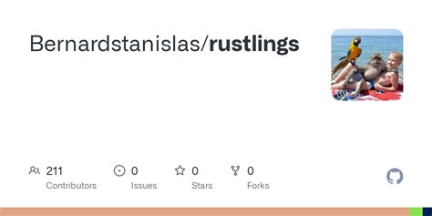 Github Bernardstanislasrustlings