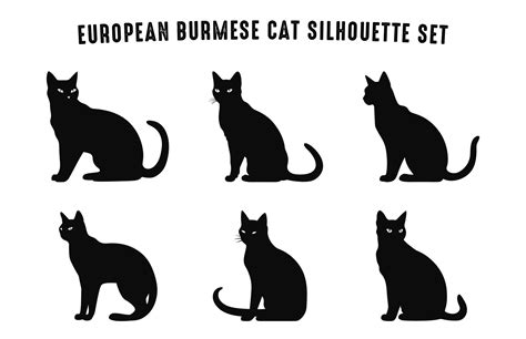 European Burmese Cat Silhouettes Vector Set Free 36523398 Vector Art At