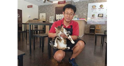 店貓活招牌 拍照打卡來者不拒 翻爆 翻報