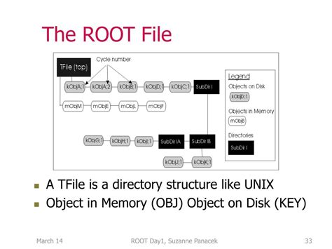 PPT ROOT PowerPoint Presentation Free Download ID