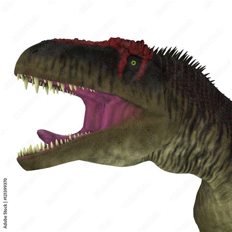 Tyrannotitan Dinosaur Head Tyrannotitan Was A Carnivorous Theropod
