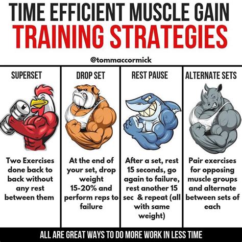 8 Powerful Muscle Building Gym Training Splits