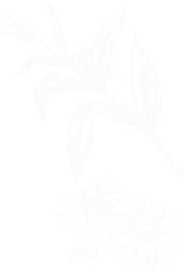 Dutch Complete™ Dried Urine Hormone Test Root Of Life