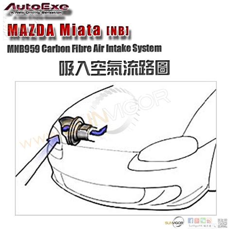 Sun Vigor Online | 98-05 Miata [NB] AutoExe Carbon Fibre Air Intake ...