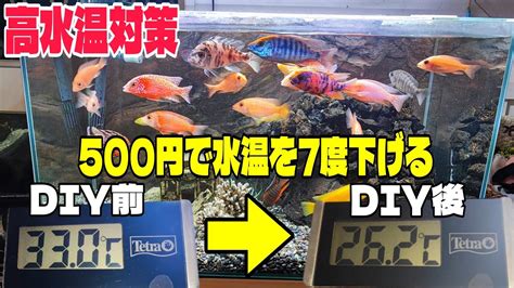 夏場の高水温対策実質500円で水槽の水温を7度下げる YouTube