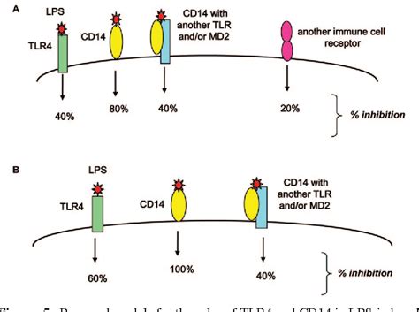 Figure 5 From Distinct Roles Of Tlr4 And Cd14 In Lps Induced