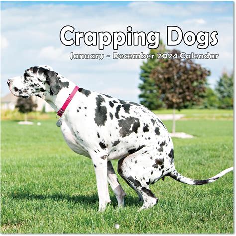 Pooping Pooches White Elephant Gag T Calendar Gag