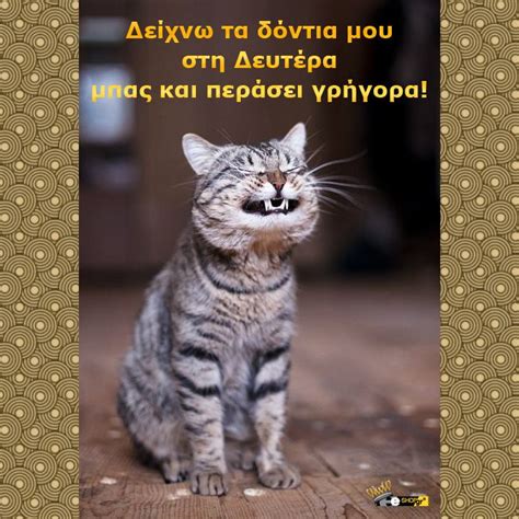 Καλημέρα και καλή εβδομάδα Let It Rip That Moment When Cat Love