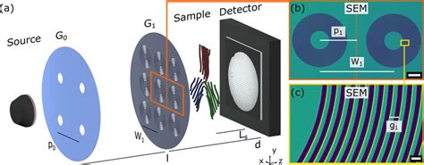 2d Diffractive Far Field Neutron Grating Interferometer Setup A Download Scientific Diagram