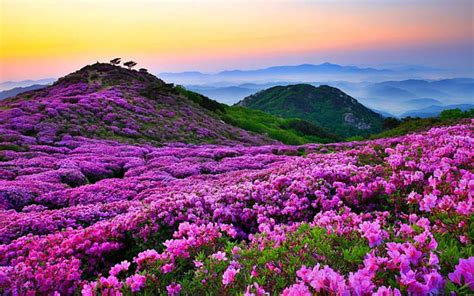 [400 ] Beautiful Scenery Pictures