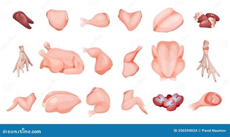 Carne De Pollo Con Diferentes Partes De La Canal Entera Y Conjunto De
