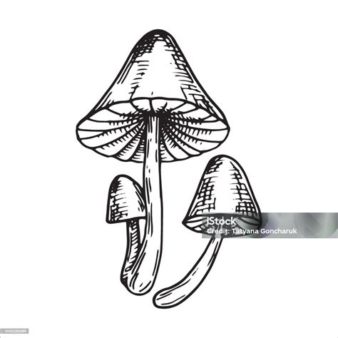 벡터 일러스트 레이 션 그래픽 드로잉 버섯 유독 한 버섯의 클립 아트 흰색 배경에 고립 된 두꺼비 도구 빈티지 스타일 밀교 상징 요술 가을에 대한 스톡 벡터 아트 및 기타