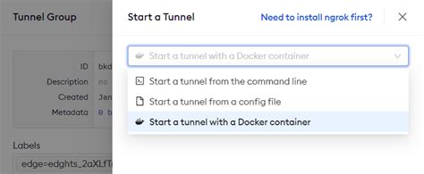 How To Bypass Ngrok Browser Warning Stack Overflow