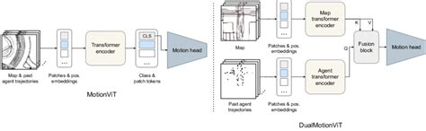 Proposed Baseline Models Motionvit A Shared Transformer Encoder To