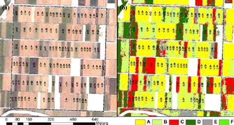 Verification Of The Image Classification Results A The Field