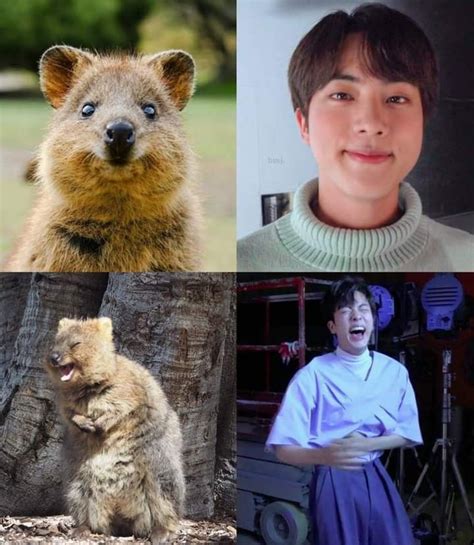 Bts 커뮤니티 포스트 To Jin Dear Jin From Army 웃고 있는 석진이 ㅋㅋㅋ 지금 그영상 보고 웃기만