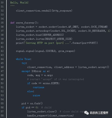 python制作网页服务器 python网络编程学习 简易网站服务器制作 csdn博客