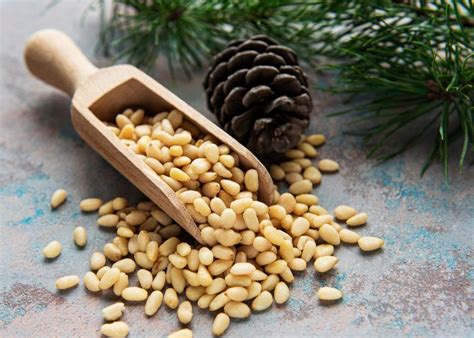 Кедровые Орехи Купить ᐈ Алматы Астана Караганда Megapit Kz