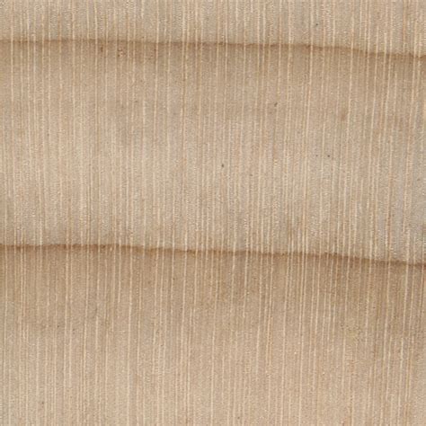 Monkey Puzzle The Wood Database Lumber Identification Softwood