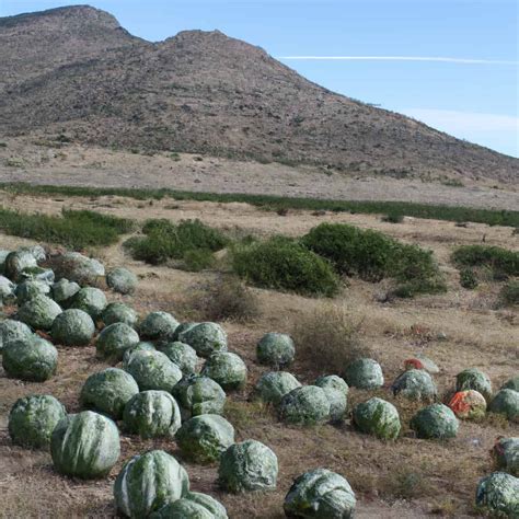 El simbolismo detrás de soñar con un huracán y su interpretación en el mundo onírico