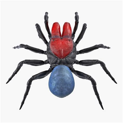 3d Mouse Spider Rigged Turbosquid 1167488