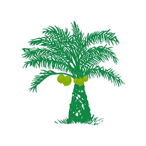 Make A Professional Palm Tree With Coconut Vector Stock Vector