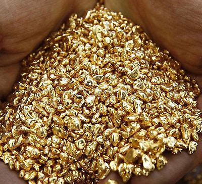 24K .9999+ medical grade Pure Gold Shot, 5 Grains of Round Bullion, Not ...
