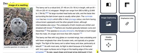 Open Accessibility Devpost