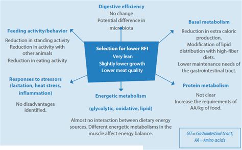 Controlling Residual Feed Intake Maintaining A Balance