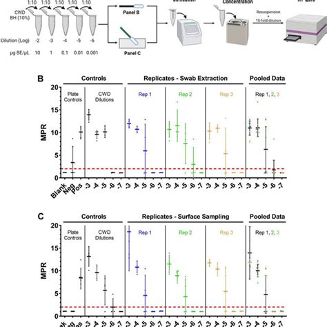 Rt Quic Detection Of Cwd Prion From Swabs And Stainless Steel 1st Download Scientific Diagram