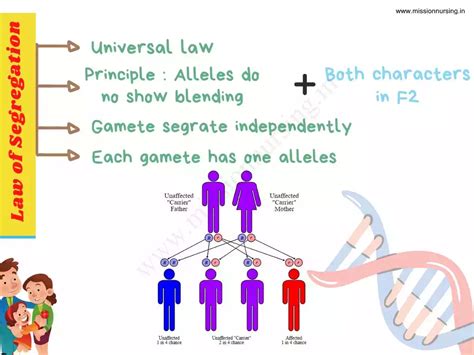 Mendelian Genetics Full Neet Notes Mission Nursing