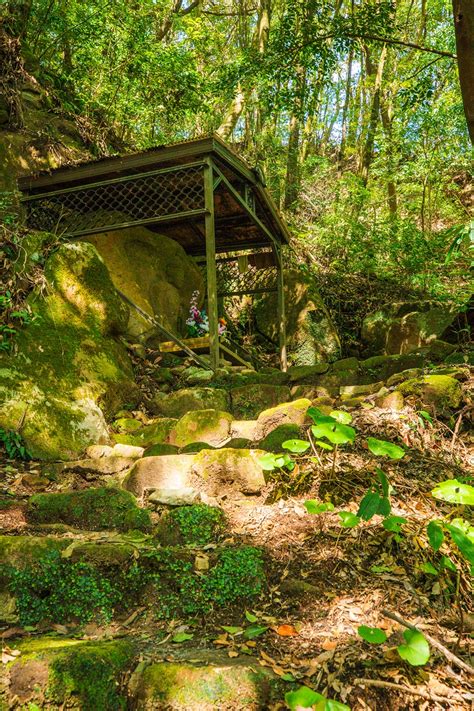 Dsc6743 鹿児島よかもん再発見！観光・グルメ・旅・地元民による穴場スポットを紹介